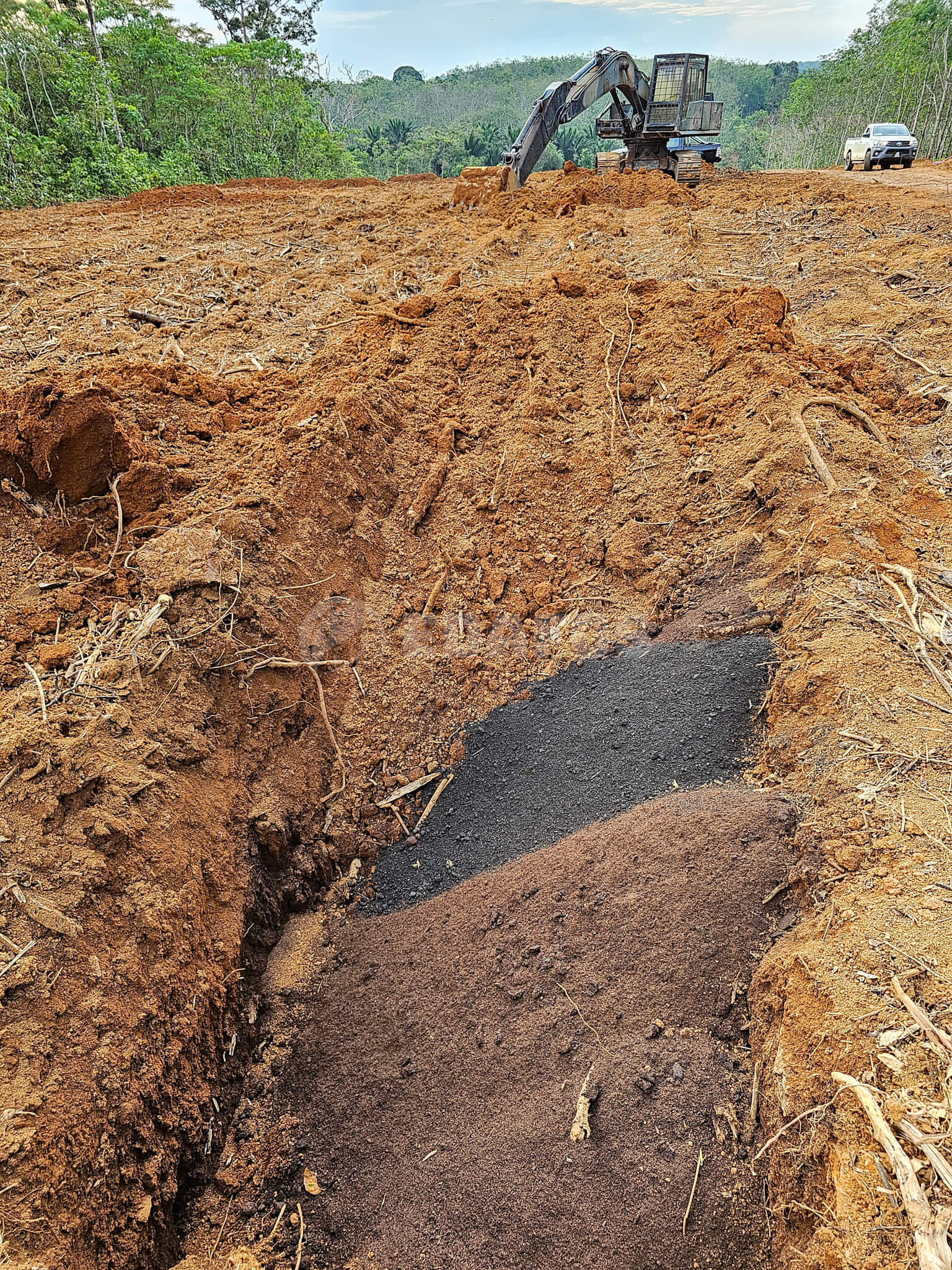 Customer Success Story | Segamat - Mr. Lee L | EDAFOS AGRO